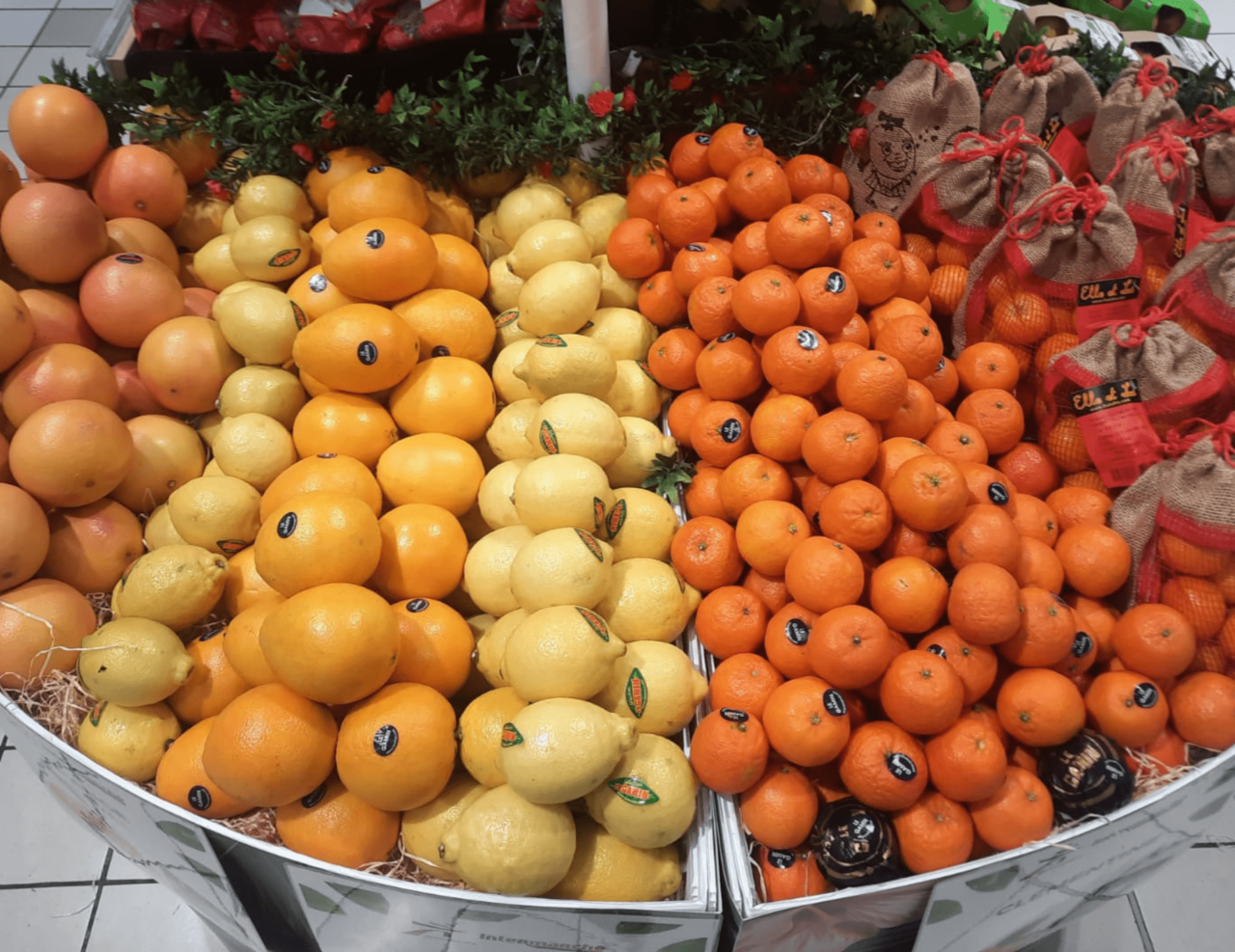 Charlet | Expert en Fruits & Légumes Frais